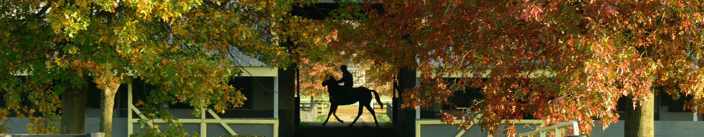 Map And Directions - Stone Farm